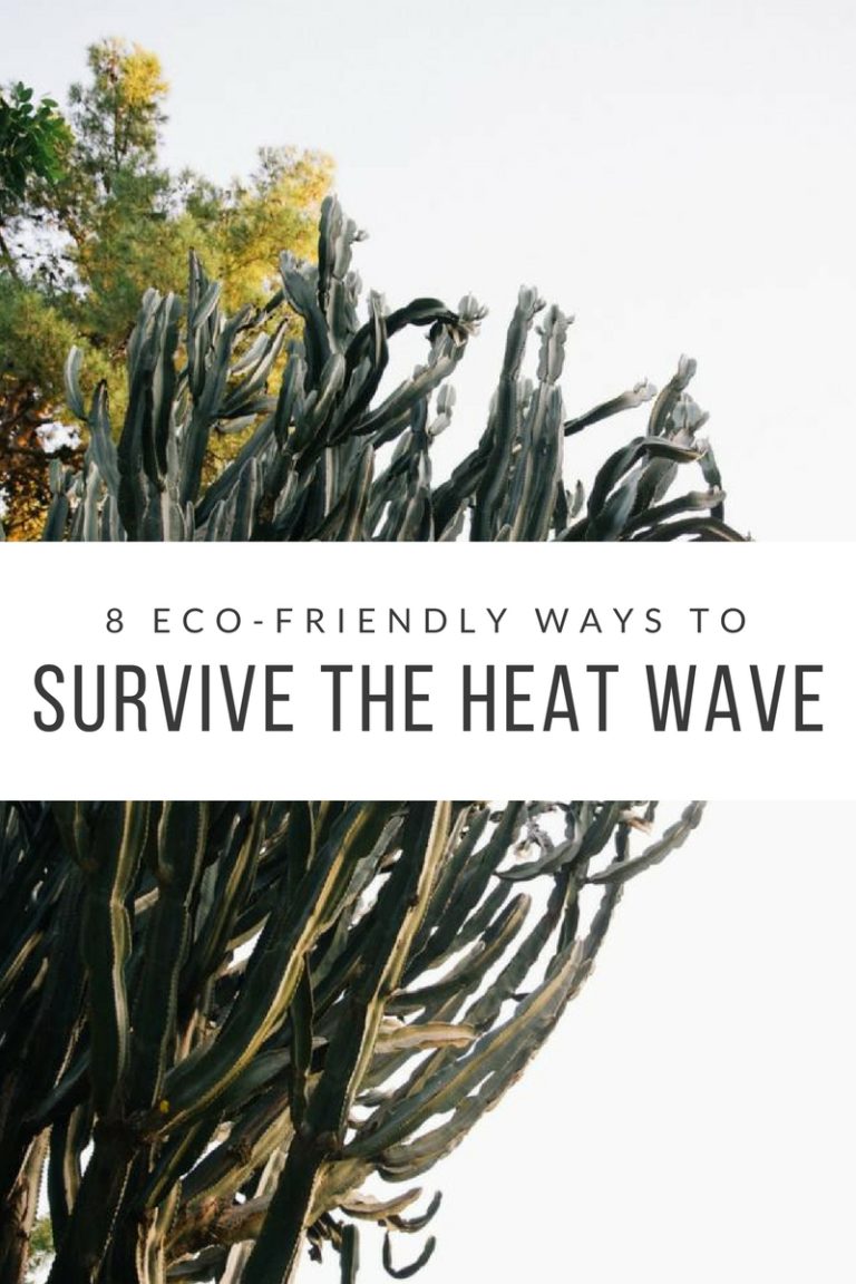 8 eco-friendly ways to survive the heat wave this summer