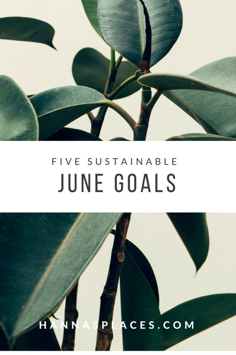 Sustainable June Goals to try this Month